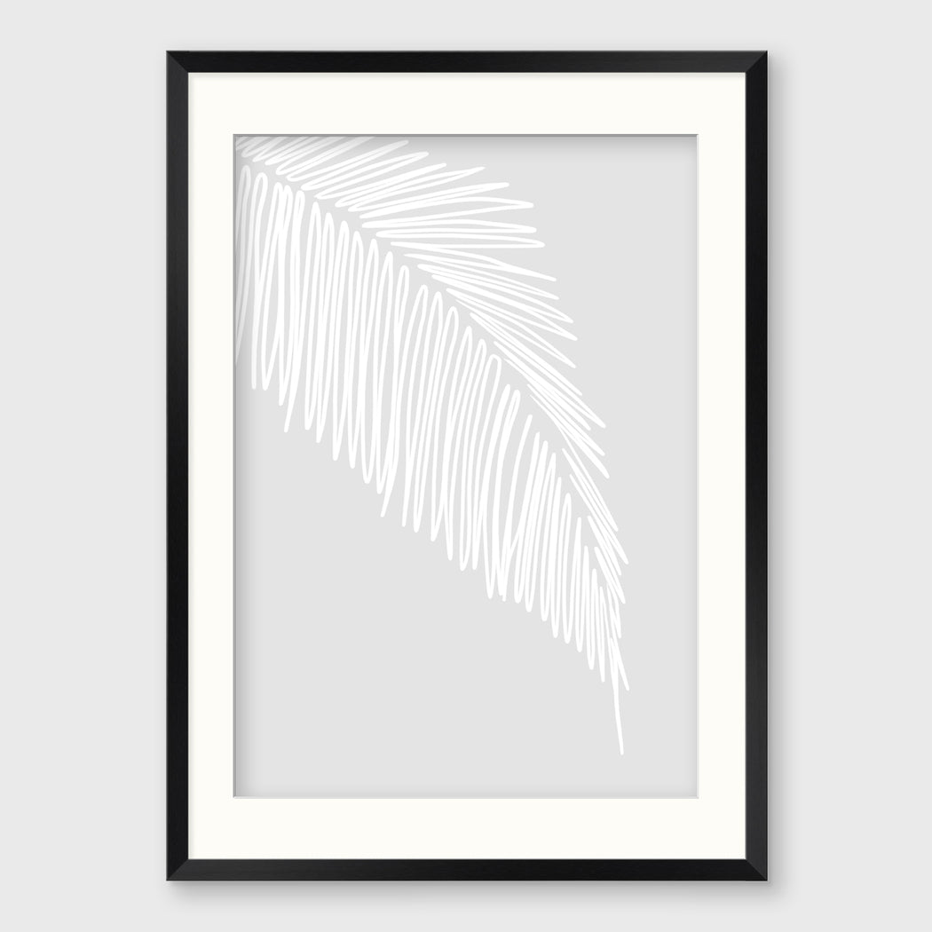 GREY PALM II – ohmygrady